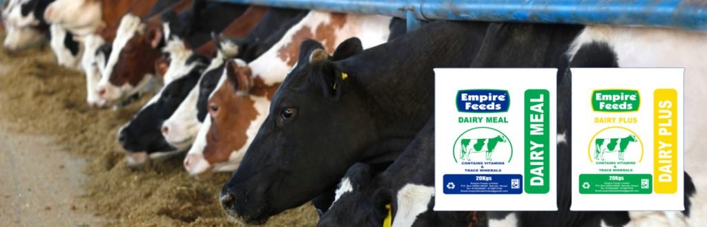 Empire Feeds Limited – Partnering for Prosperity