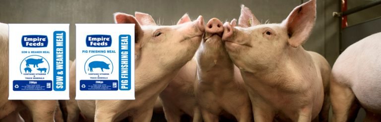 Empire Feeds Limited – Partnering for Prosperity